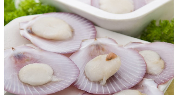 HALF SHELL PINK SCALLOP 粉红扇贝 | AL Frozen | Official Website