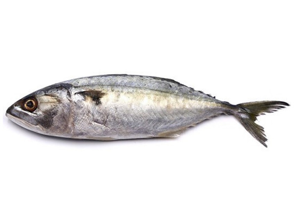 Frozen Fish | AL Frozen | Official Website