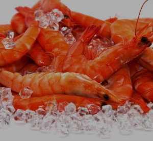 Frozen Prawn | AL Frozen | Official Website