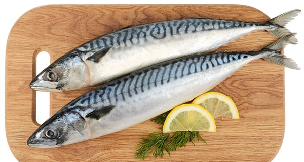 SABA MACKEREL 鲭鱼 | AL Frozen | Official Website