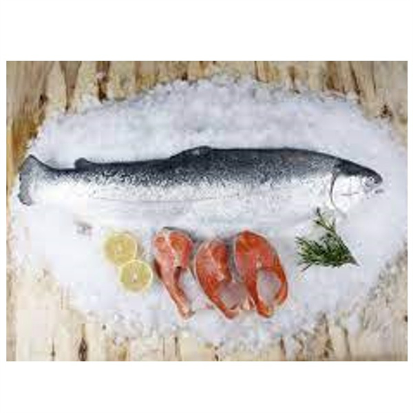 Frozen Fish | AL Frozen | Official Website