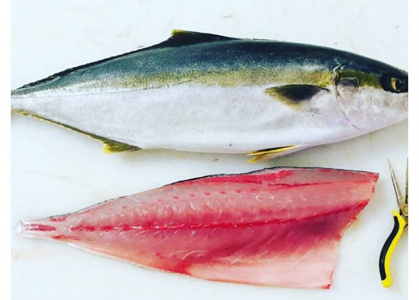 Frozen Fish | AL Frozen | Official Website