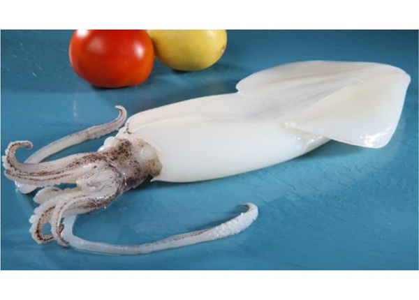 Frozen Squid | AL Frozen | Official Website